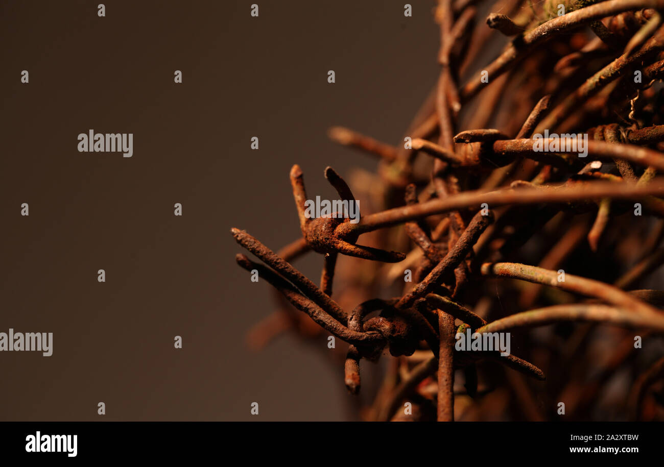 Close up of a twisted barb wire Stock Photo - Alamy