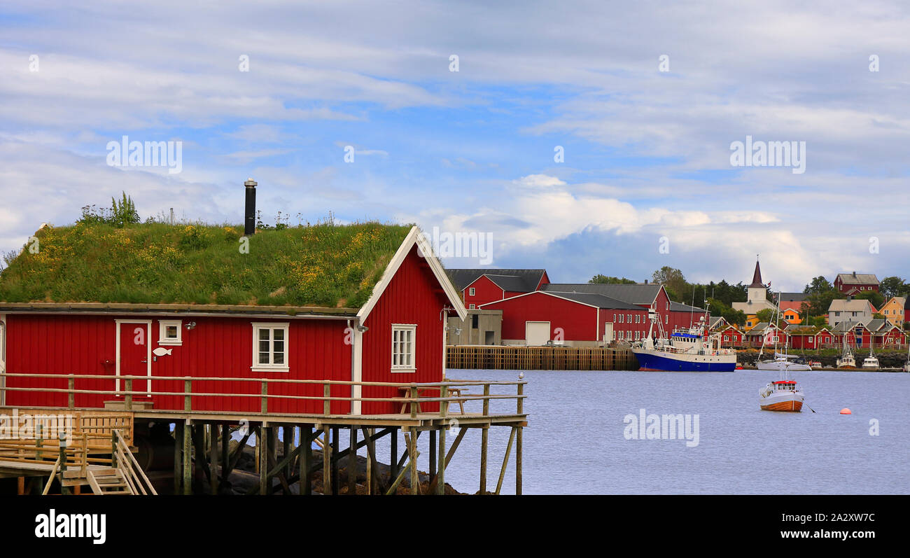Norwegian red fishing huts (rorbu) with green grass of Lofoten Islands ...