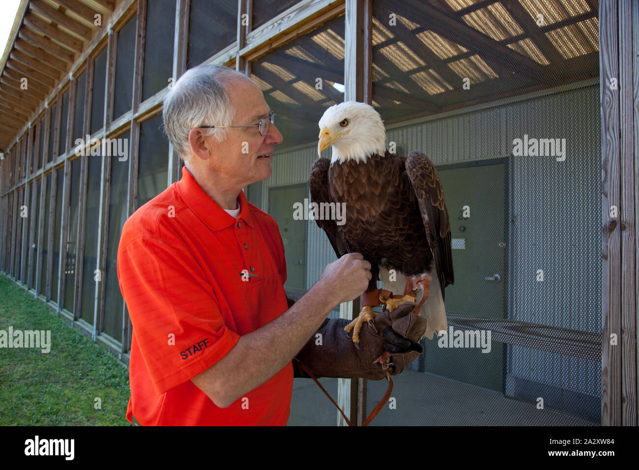 Roy Clay Crowe poses with eagles who are brought into the Southeastern ...