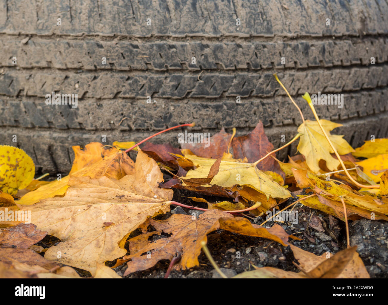 Tire profile hi-res stock photography and images - Alamy