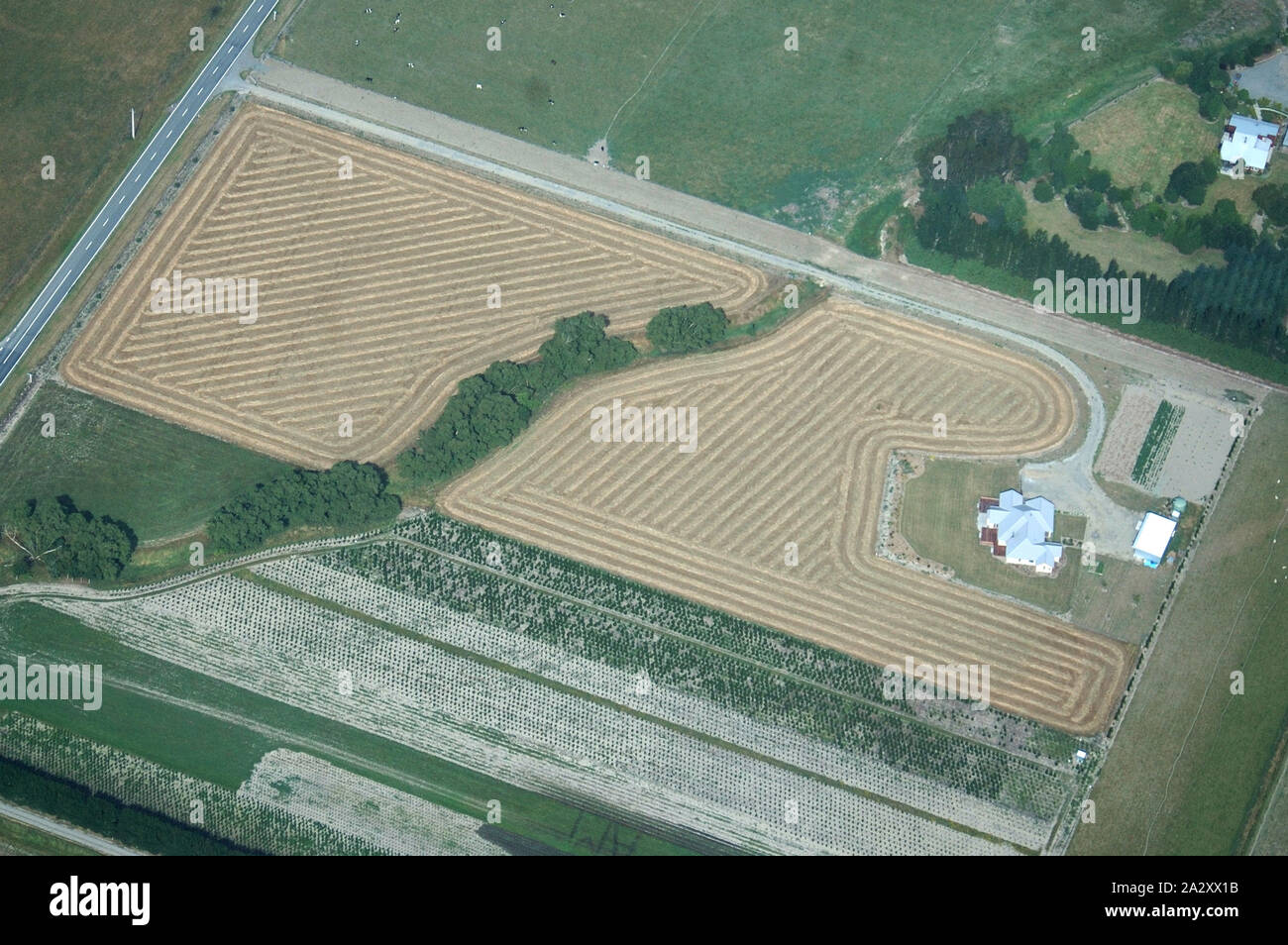 Aerial of paddocks mowed into neat windrows for haymaking, Canterbury ...
