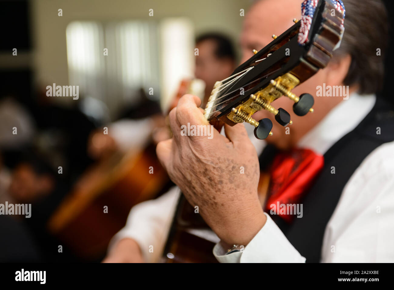 Traditional Mariachi Musician Mexican Singer Stock Photo - Alamy