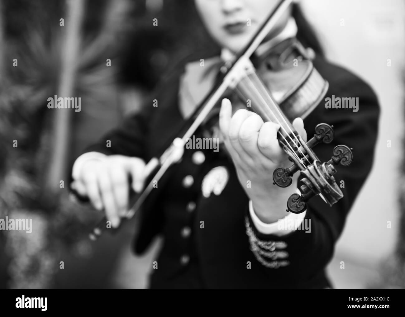 Traditional Mariachi Musician Mexican Singer Stock Photo - Alamy