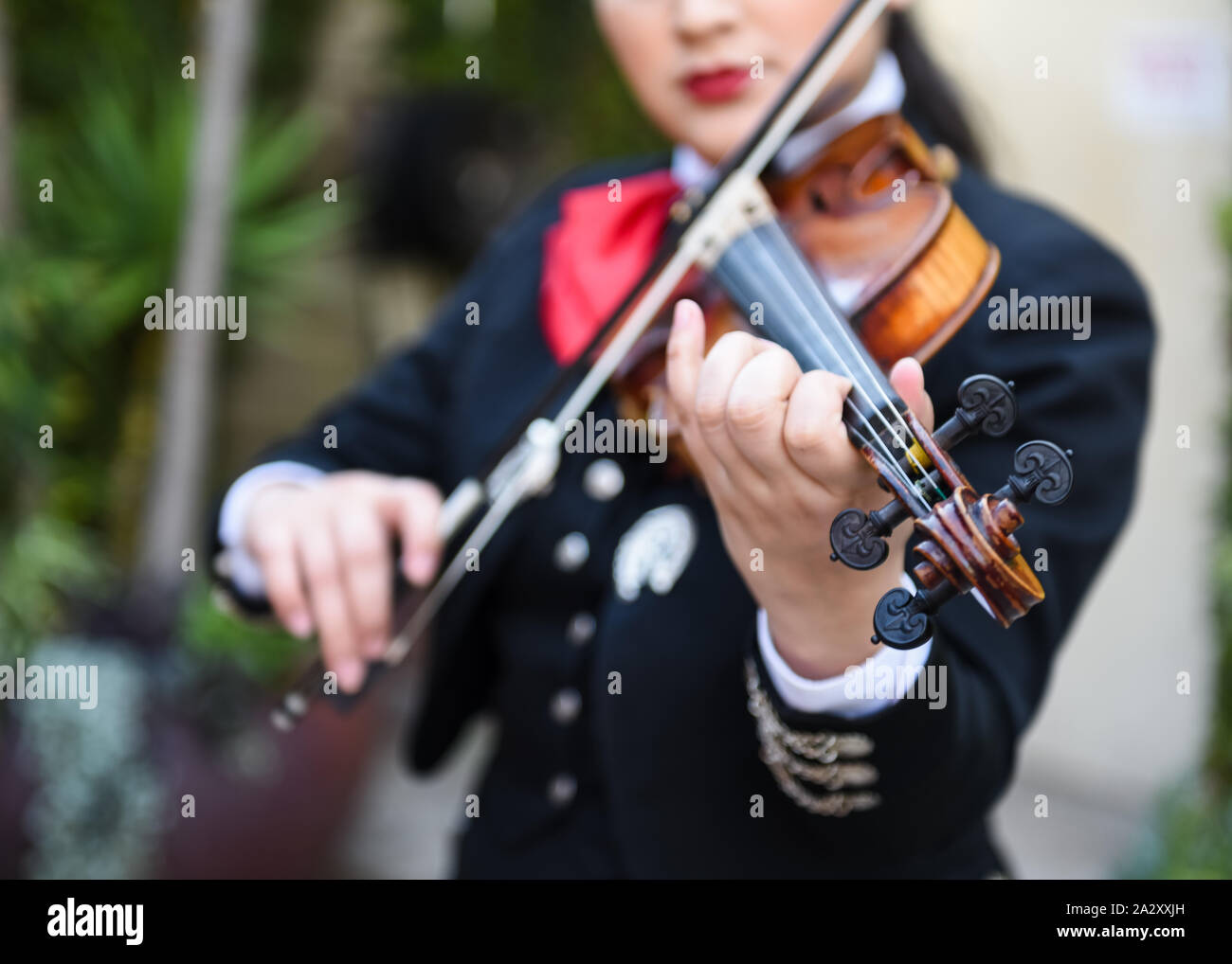 Traditional Mariachi Musician Mexican Singer Stock Photo - Alamy