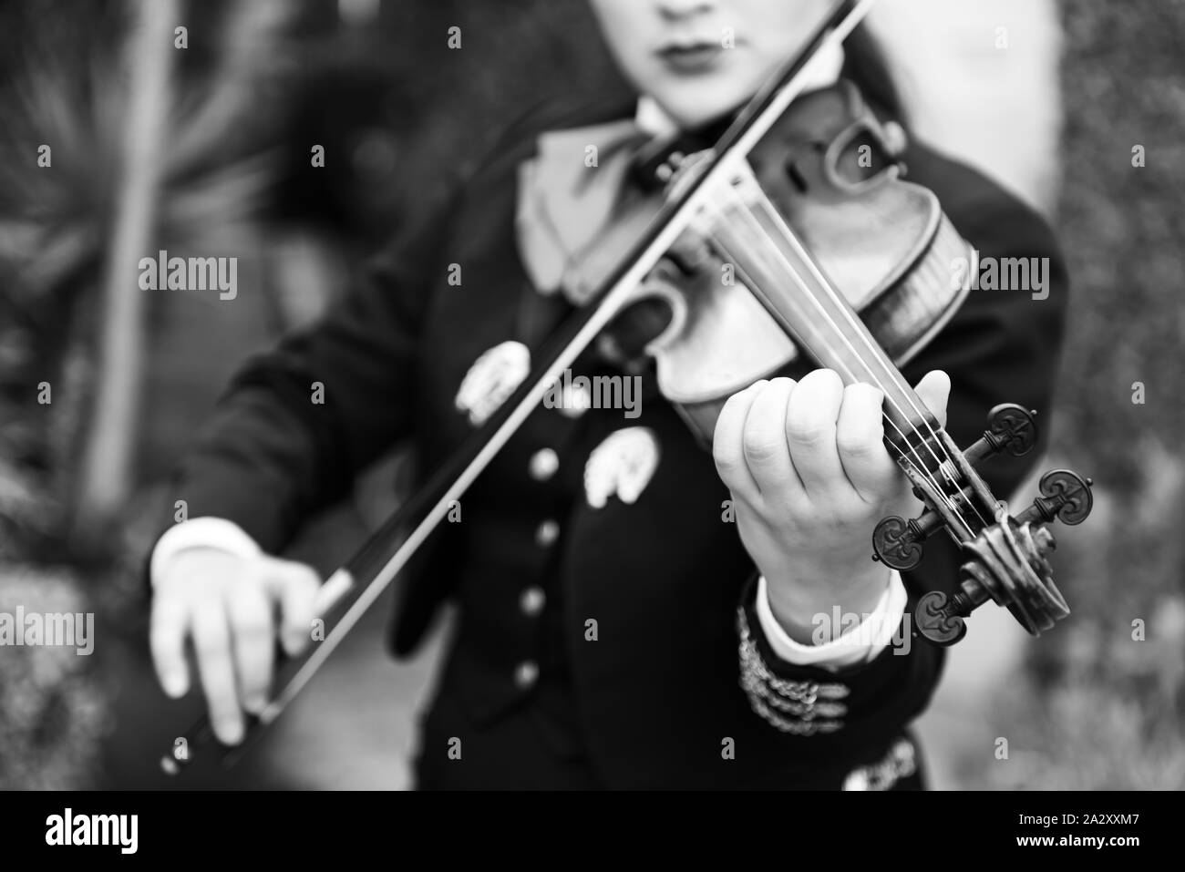 Traditional Mariachi Musician Mexican Singer Stock Photo - Alamy
