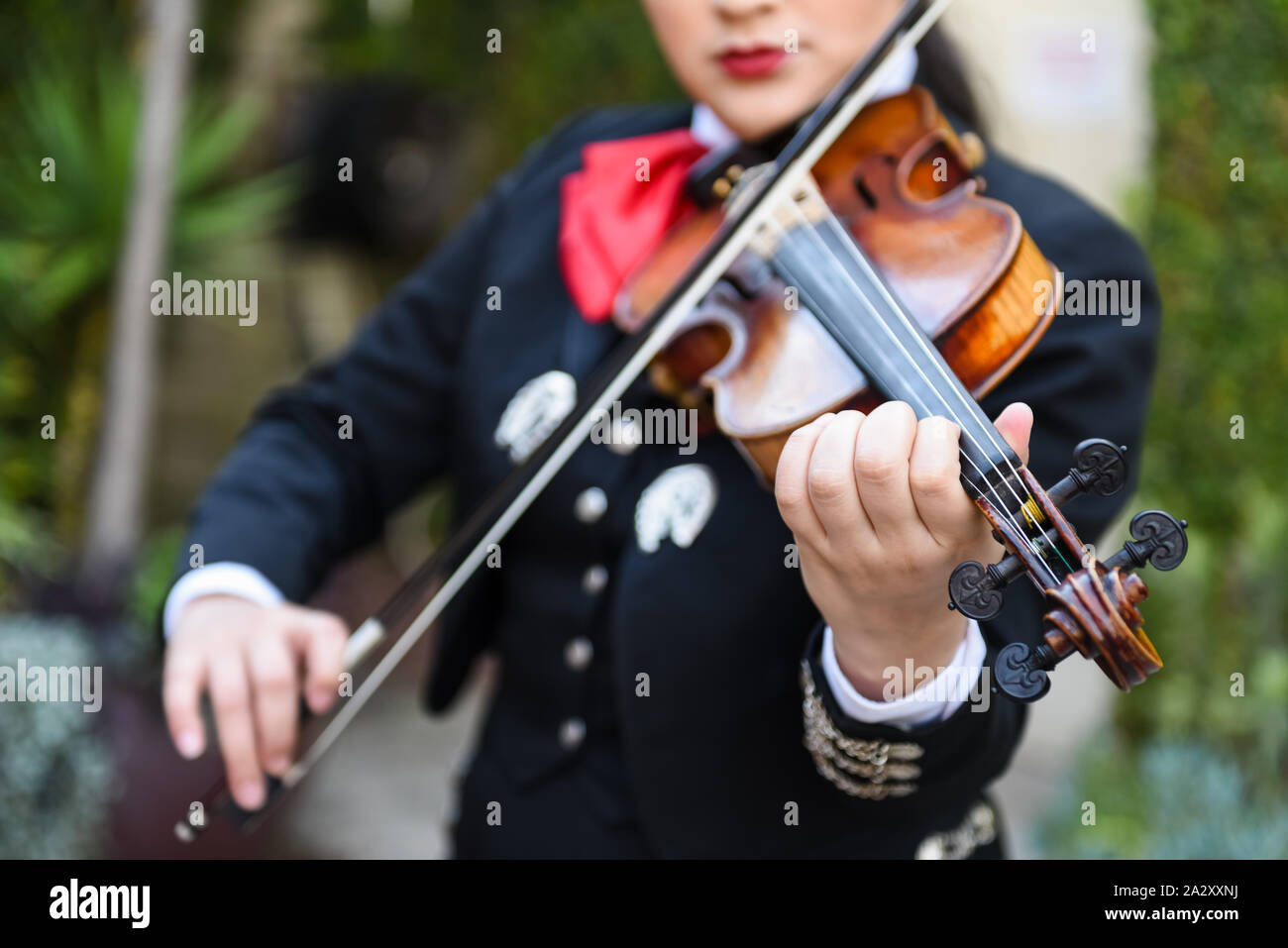 Traditional Mariachi Musician Mexican Singer Stock Photo - Alamy