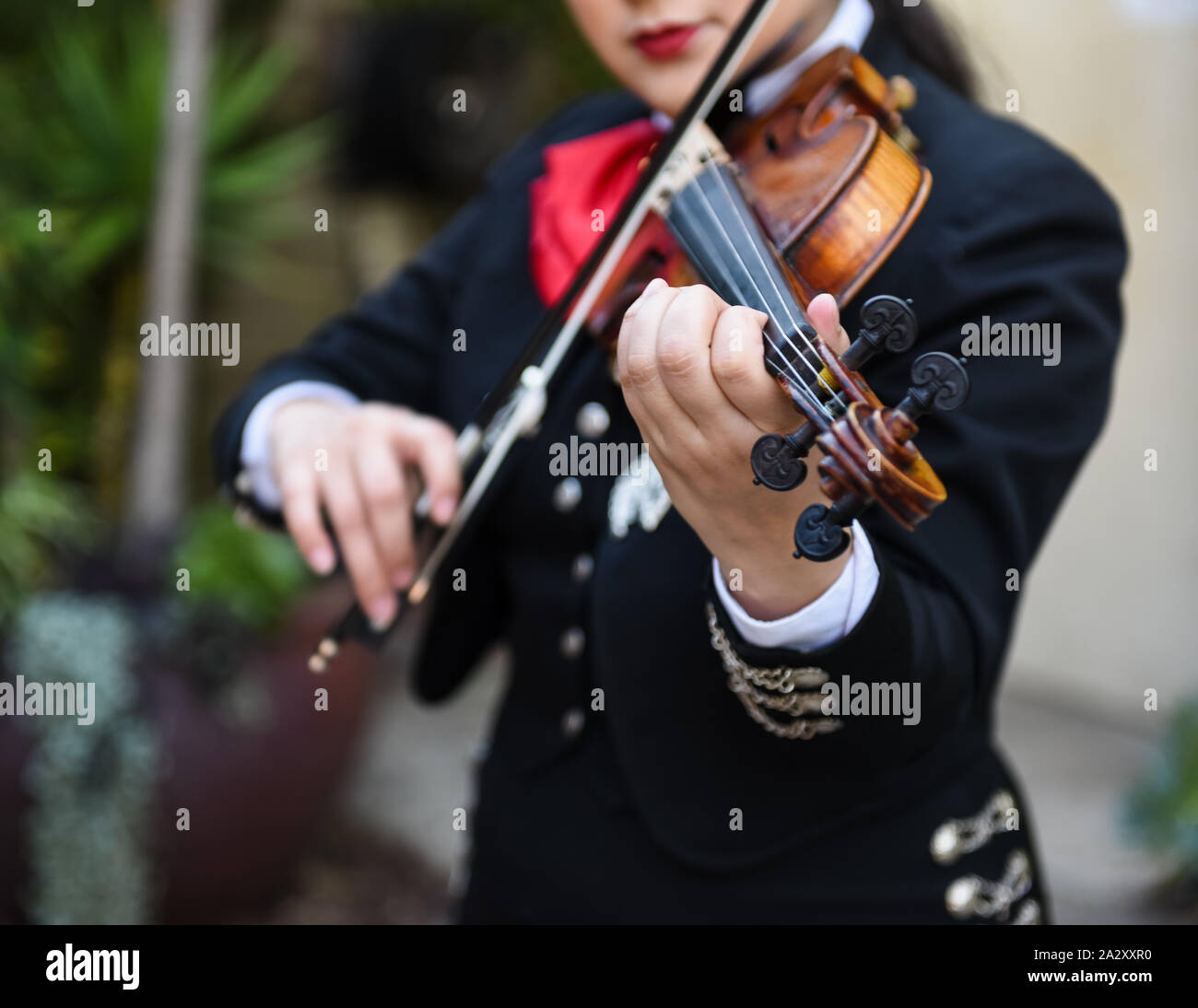 Traditional Mariachi Musician Mexican Singer Stock Photo - Alamy