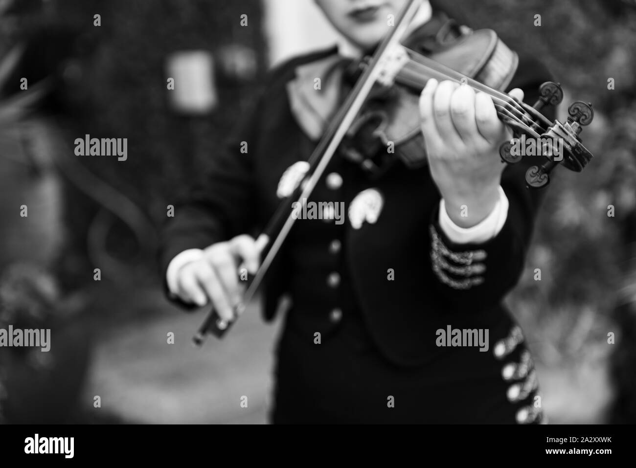 Traditional Mariachi Musician Mexican Singer Stock Photo - Alamy
