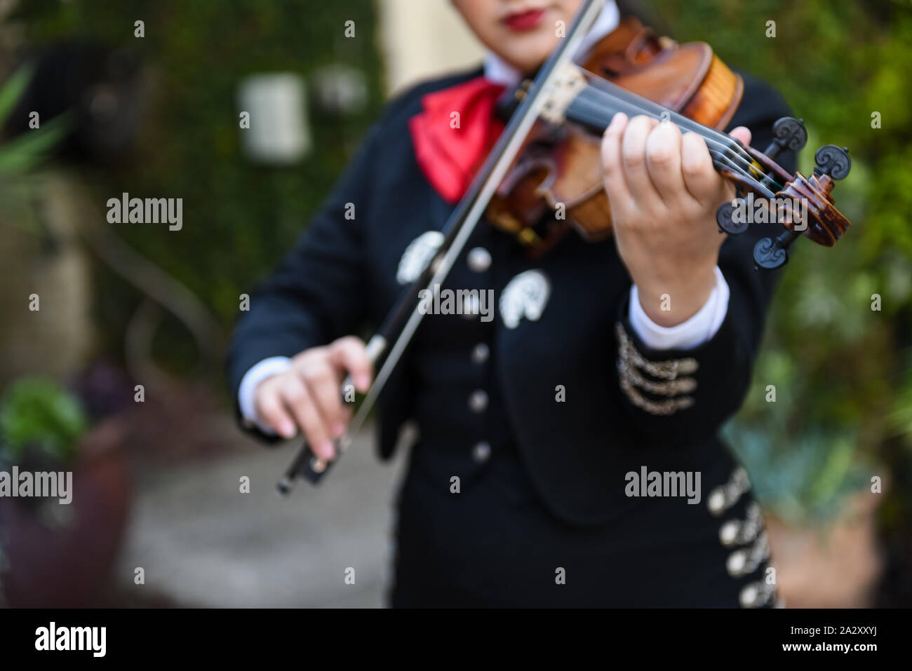 Traditional Mariachi Musician Mexican Singer Stock Photo - Alamy