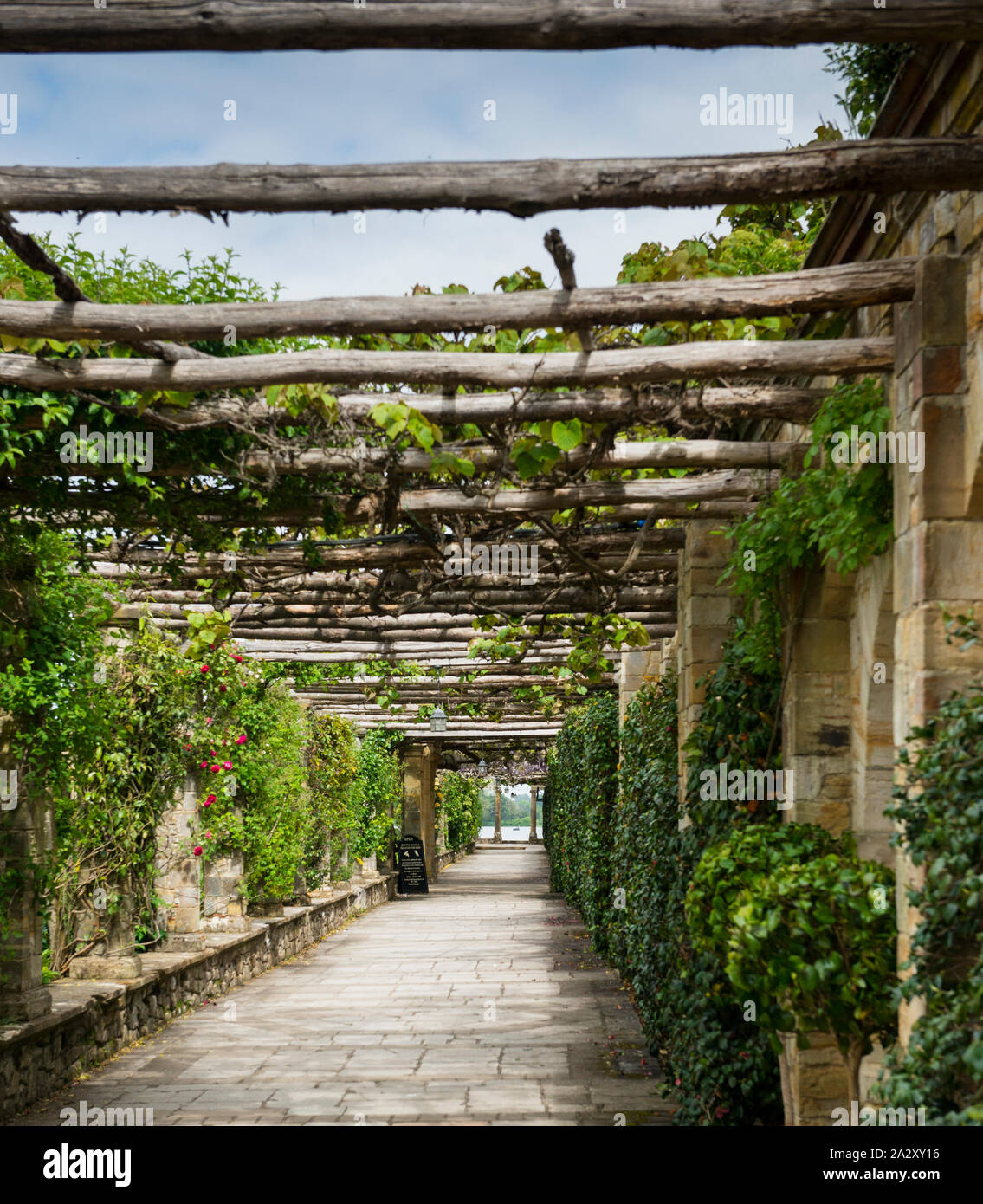 Receding Geometric Perspective High Resolution Stock Photography and ...