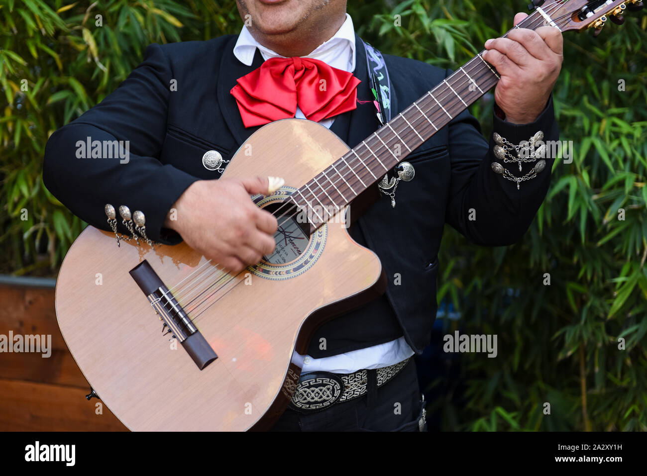 Traditional Mariachi Musician Mexican Singer Stock Photo - Alamy