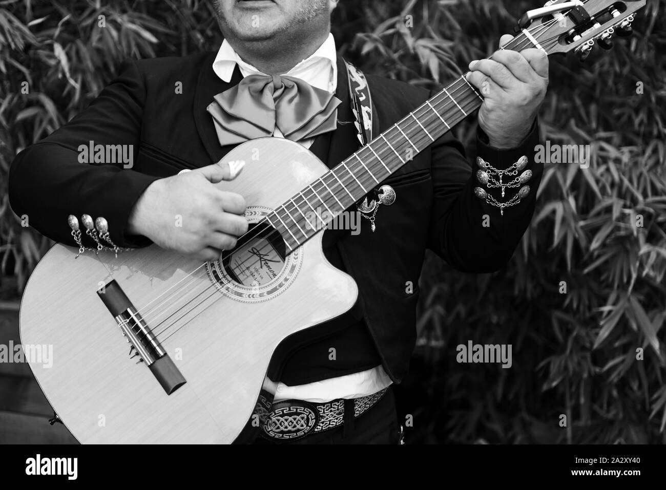 Traditional Mariachi Musician Mexican Singer Stock Photo - Alamy