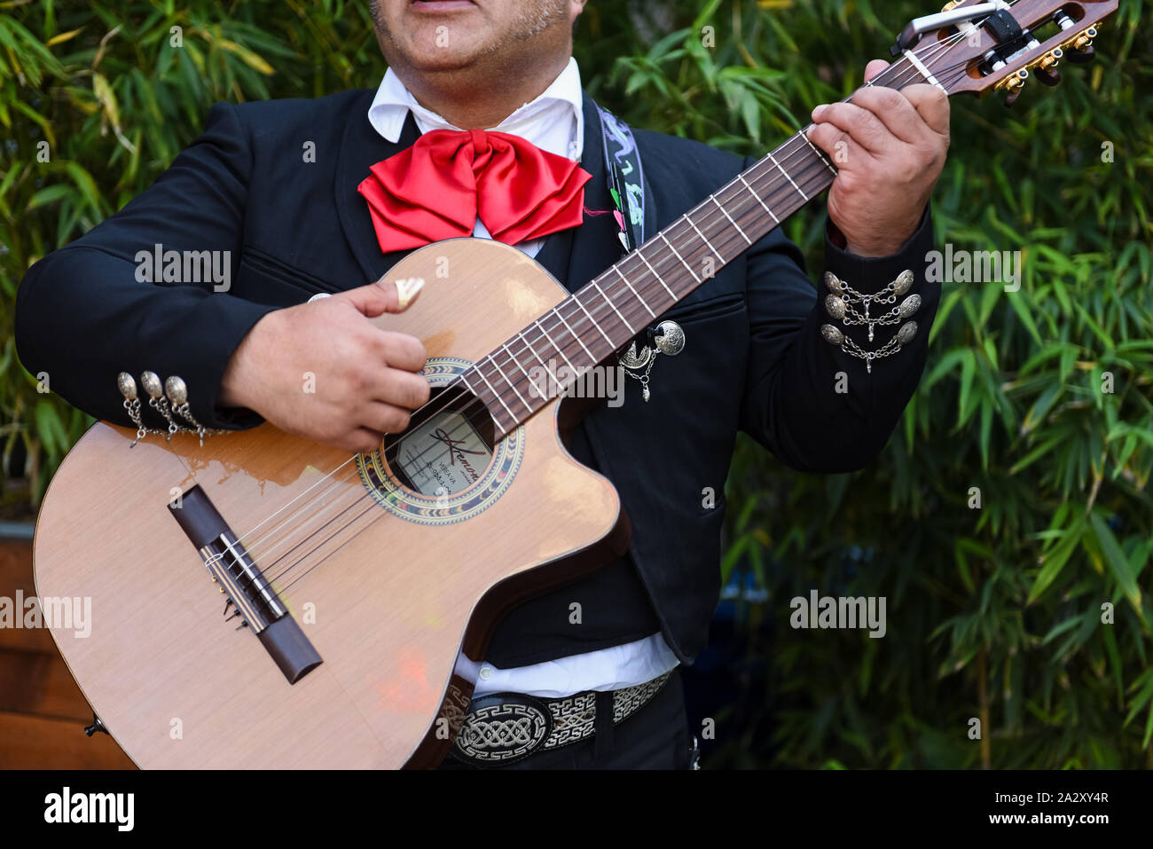 Traditional Mariachi Musician Mexican Singer Stock Photo - Alamy