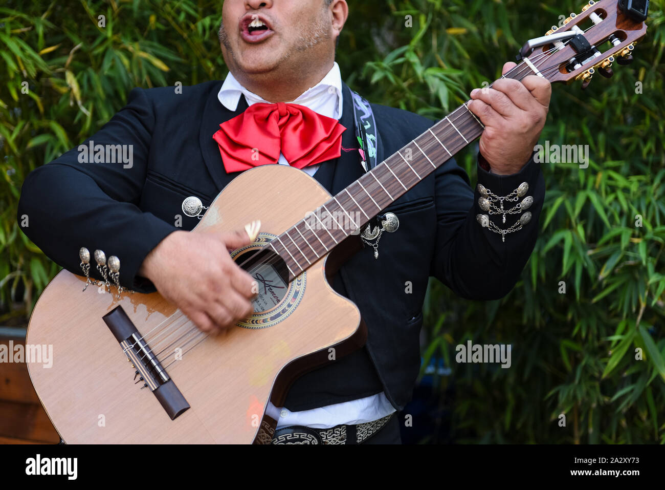 Traditional Mariachi Musician Mexican Singer Stock Photo - Alamy