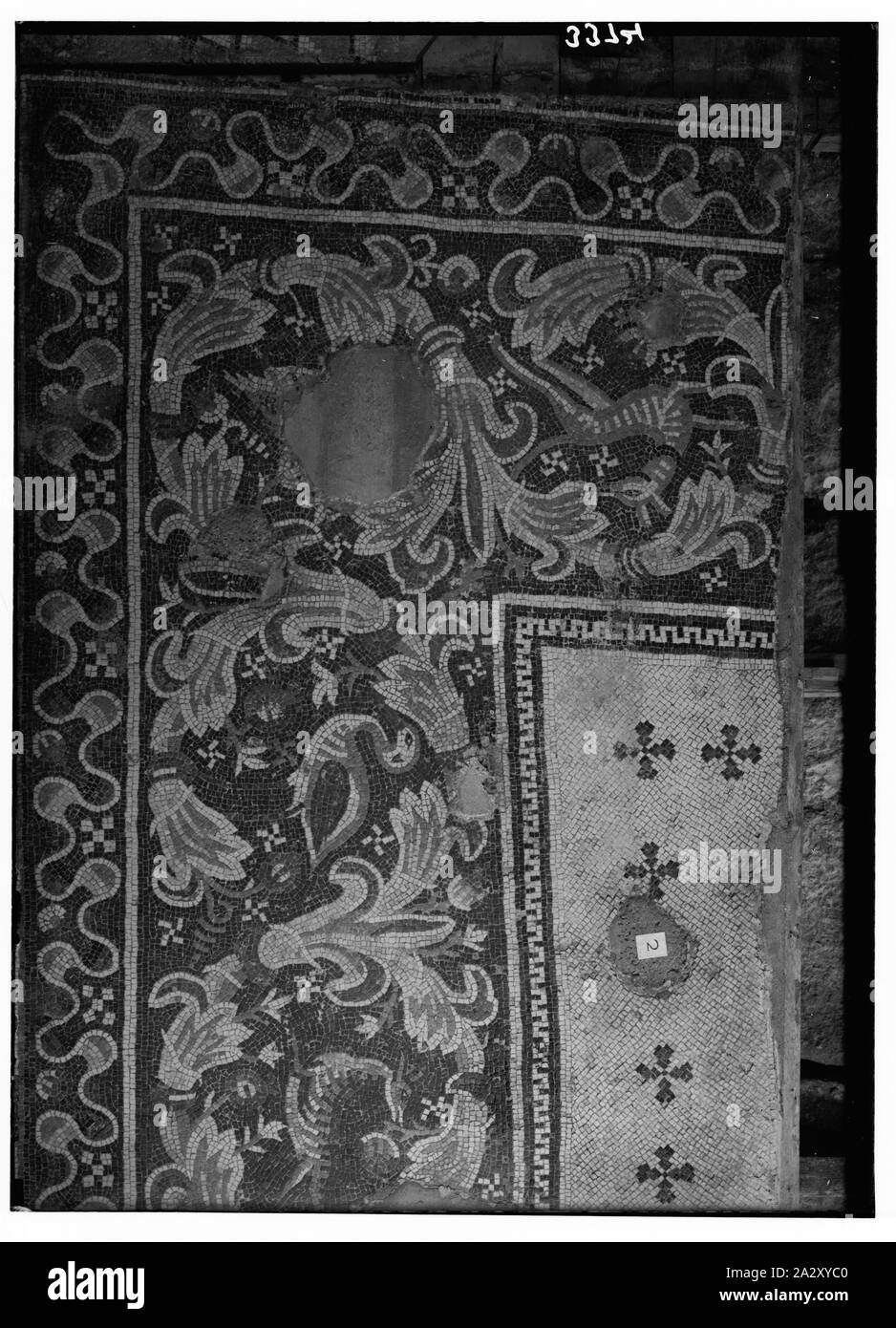 Ruins of Jerash (Gerasa). Jerash mosaic. Section of border-design with ...