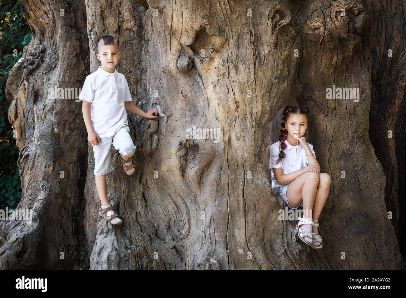 boy and girl in the tree Stock Photo - Alamy