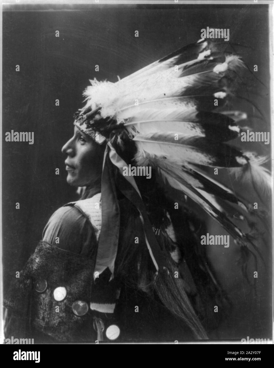 Swift running Black and White Stock Photos & Images - Alamy