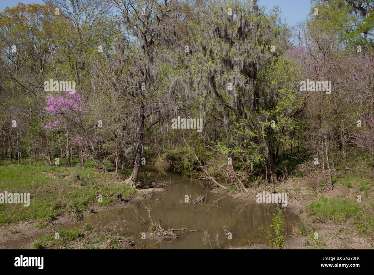 Rural Alabama in the spring Stock Photo - Alamy