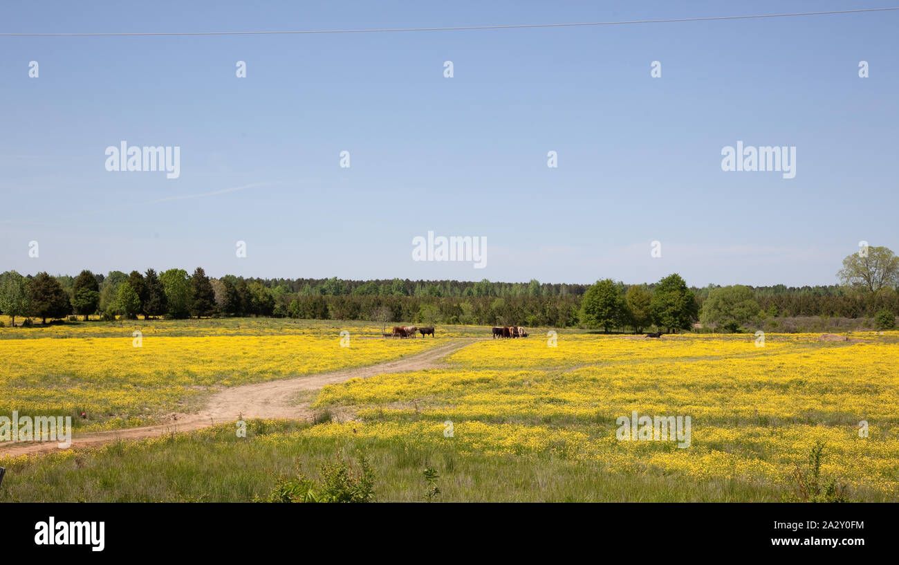 Ruralphoto hi-res stock photography and images - Alamy