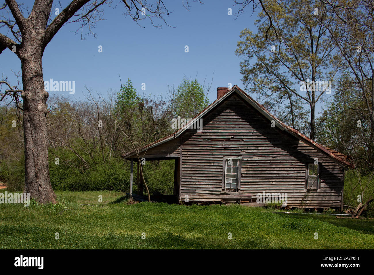 Alabama wildflowers hi-res stock photography and images - Alamy