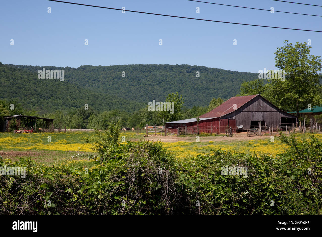 Rural Alabama scene Stock Photo - Alamy