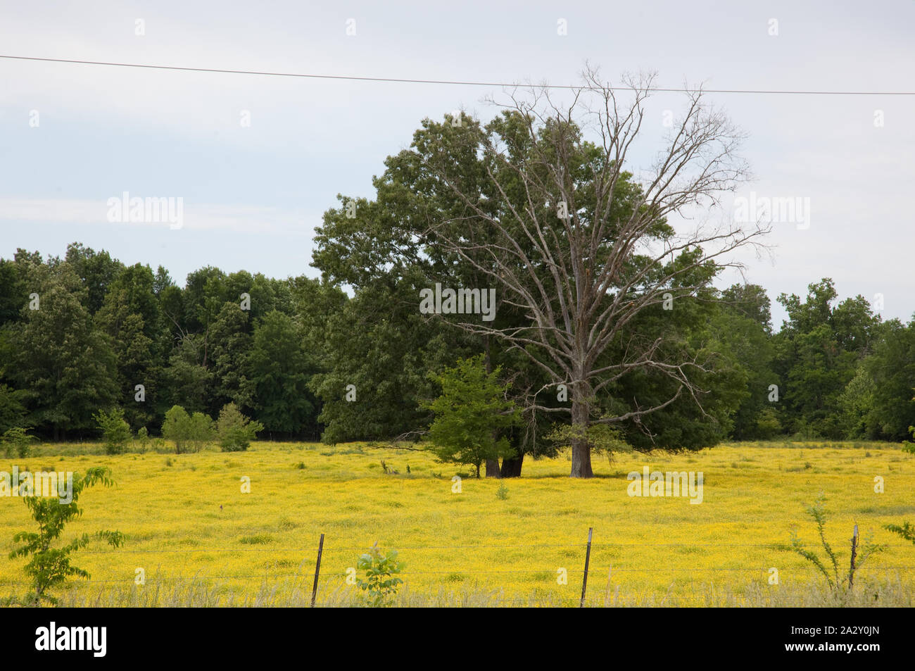 Rural Alabama scene Stock Photo - Alamy