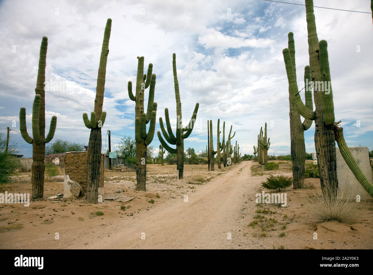 Florence arizona hi-res stock photography and images - Alamy