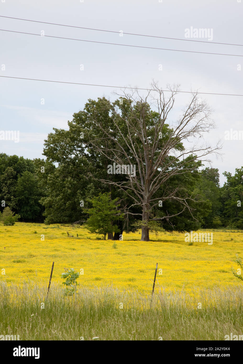 Rural alabama hi-res stock photography and images - Alamy