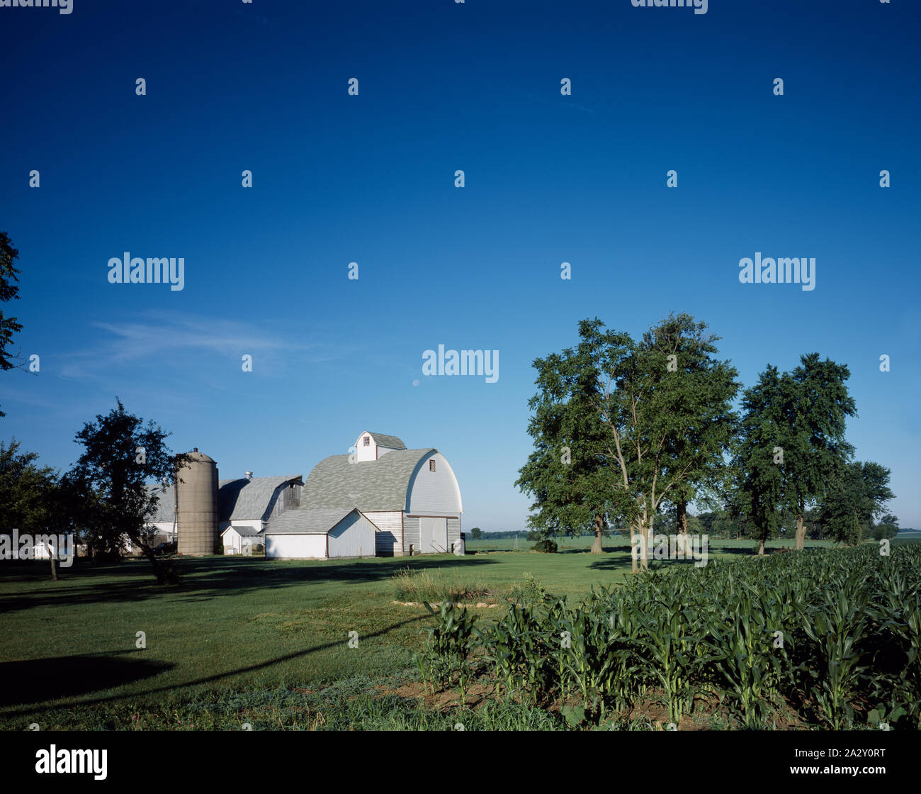 Illinois farm animals hi-res stock photography and images - Alamy