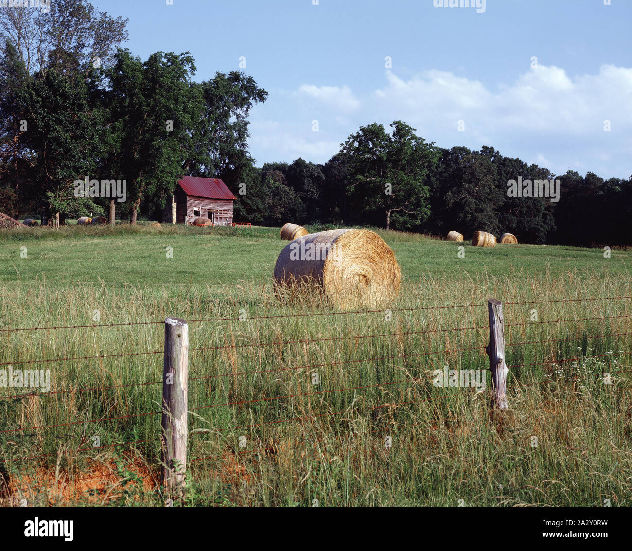 Rural farm scene, North Carolina Stock Photo - Alamy