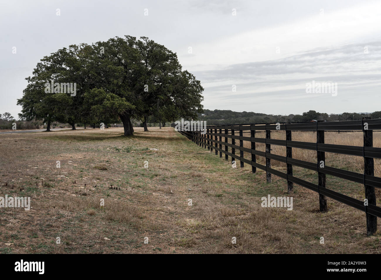 Rural scene in Bandera County, Texas Stock Photo - Alamy