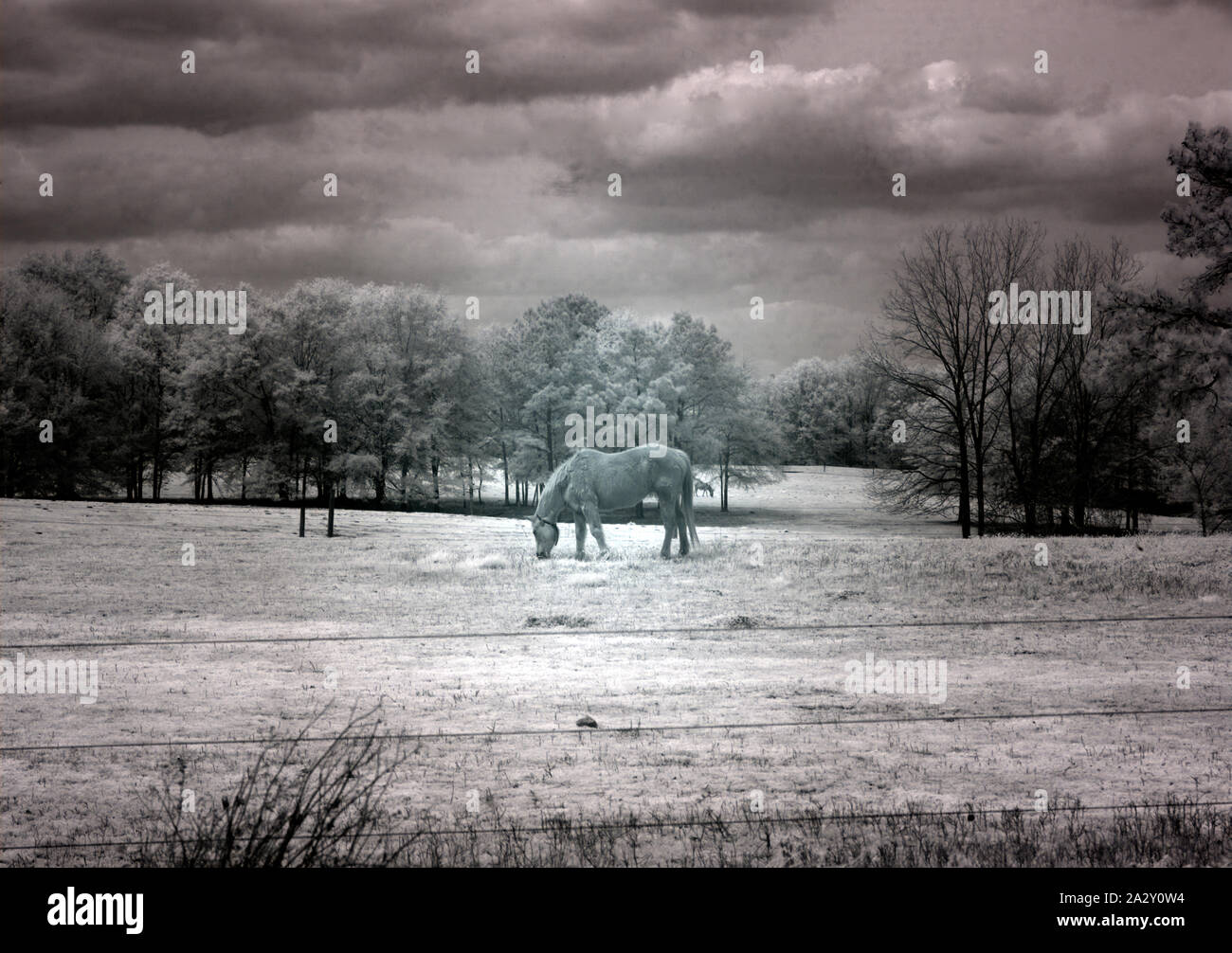 Rural scene in Alabama Stock Photo - Alamy