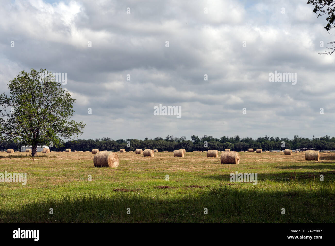 Rural scene in Fort Bend County, Texas, southwest of Houston Stock ...