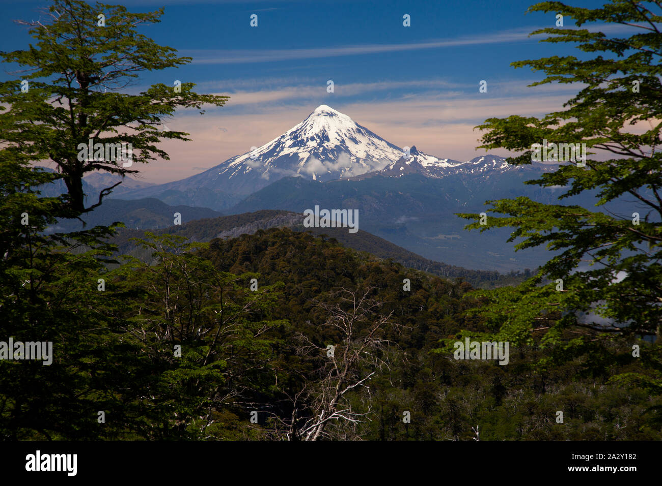 Lanin volcano, El Cani Sanctuary, near Pucon Stock Photo - Alamy