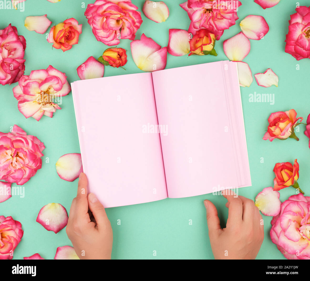 open notebook with blank pink pages on a green background, buds of a ...