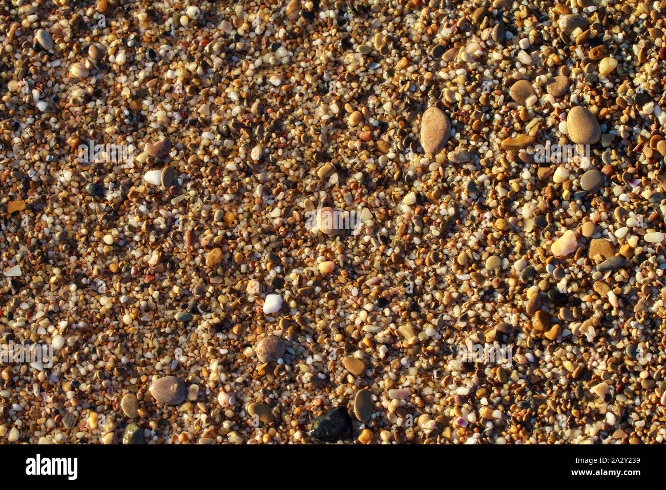 sea pebbles colored granite on the beach background stones. The shore ...