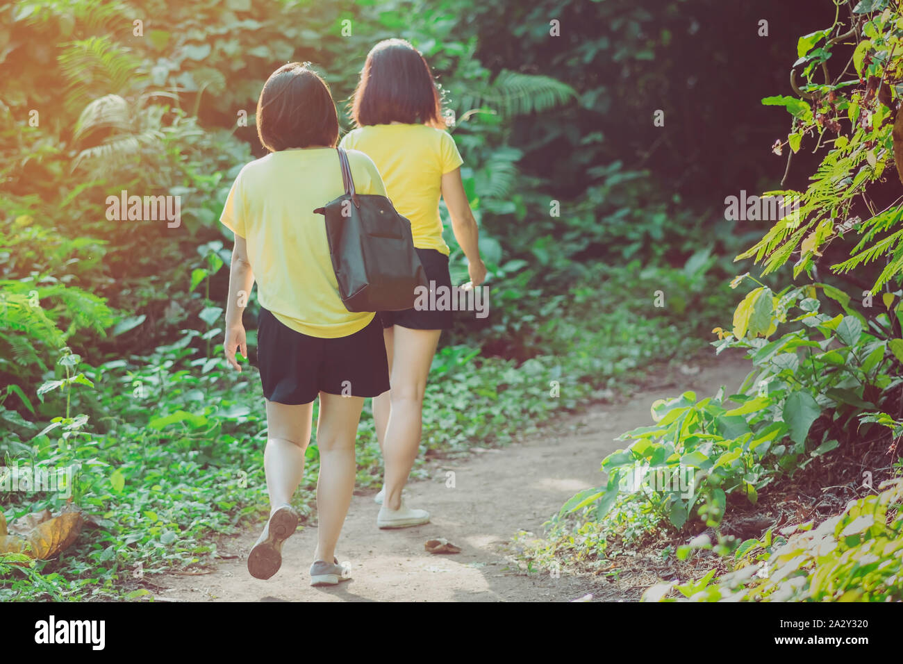 Friends walking along forest trail hi-res stock photography and images ...