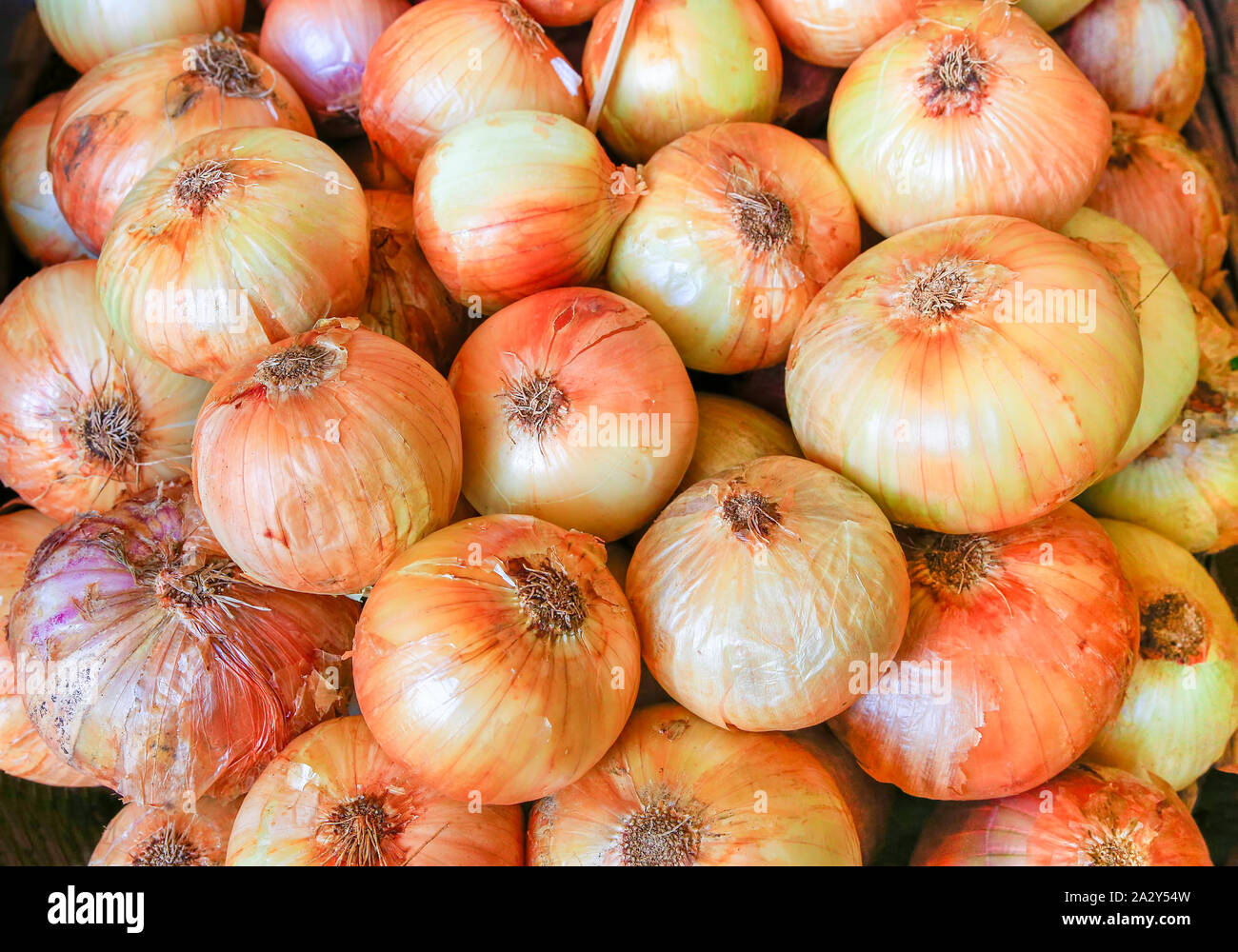 Group nutrition hi-res stock photography and images - Alamy