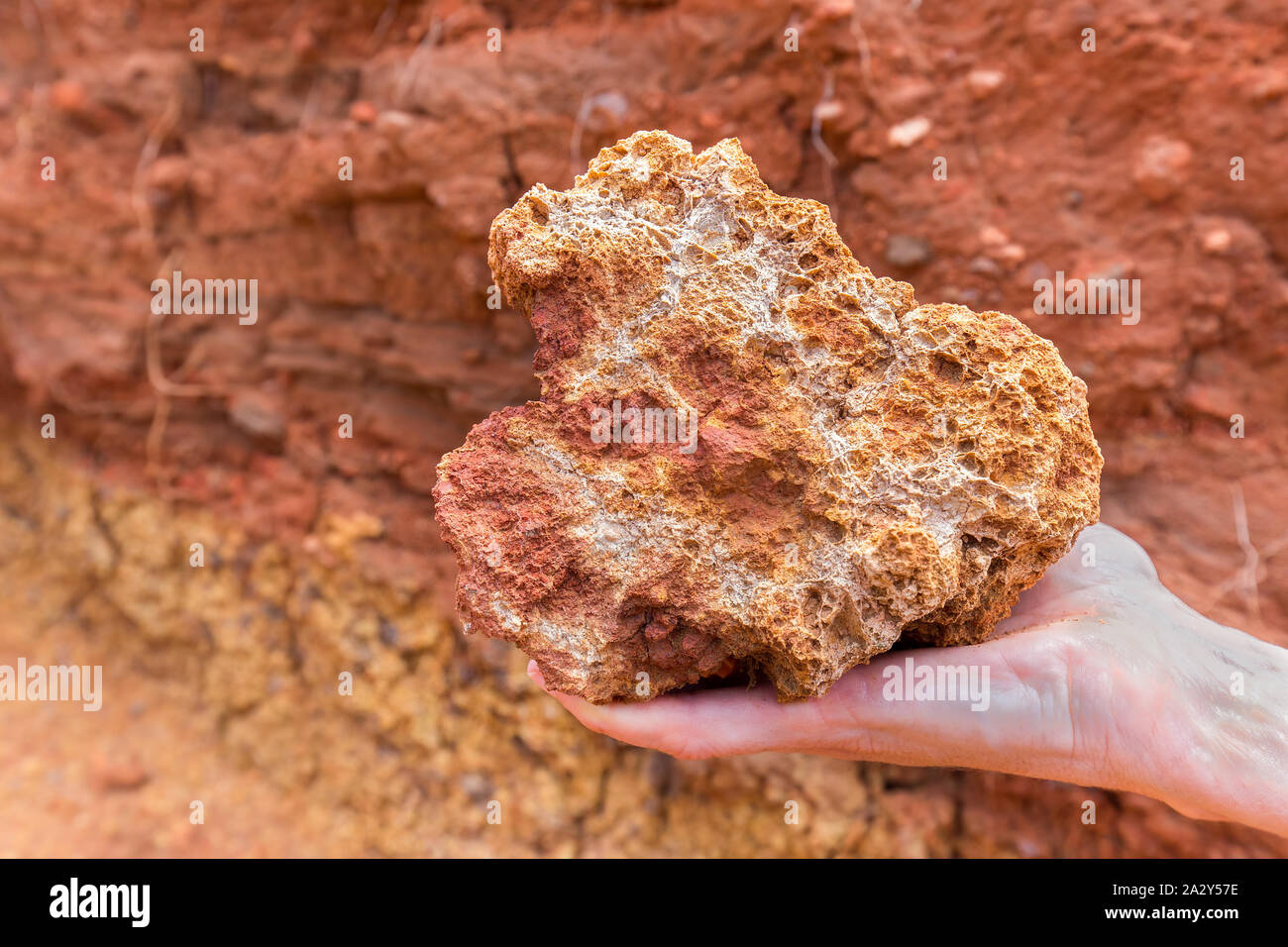 Hand holding rust brown stone near rocky wall Stock Photo - Alamy