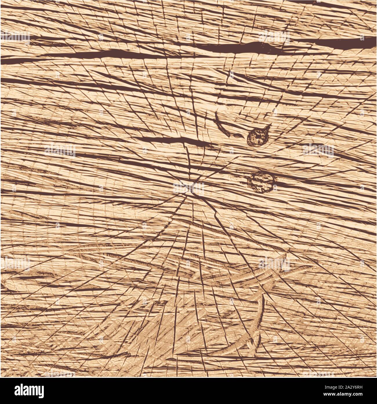 Vector illustration of tree cross section. Wooden brown texture ...