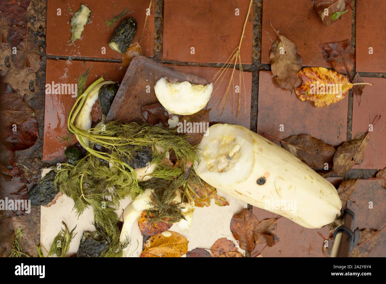 Rotten vegetables hi-res stock photography and images - Alamy