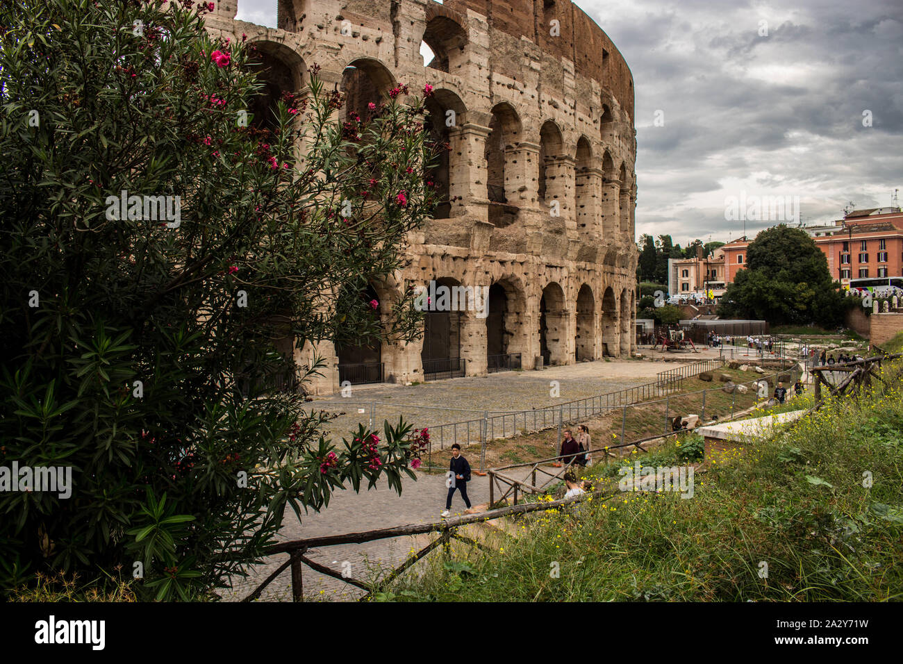 Coliseum, the great beauty of Rome Stock Photo - Alamy