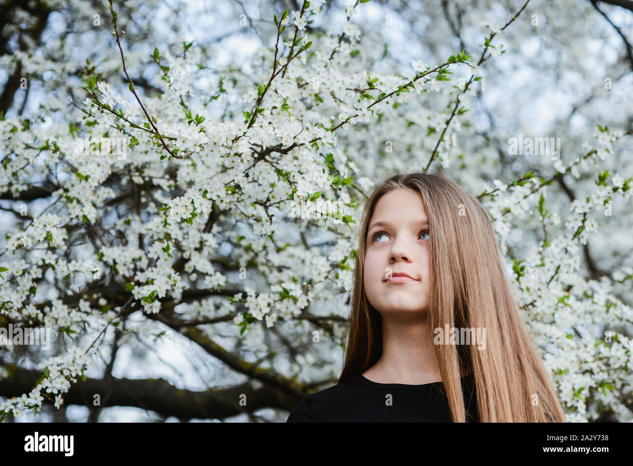 child girl with long hair under blossom tree Stock Photo - Alamy