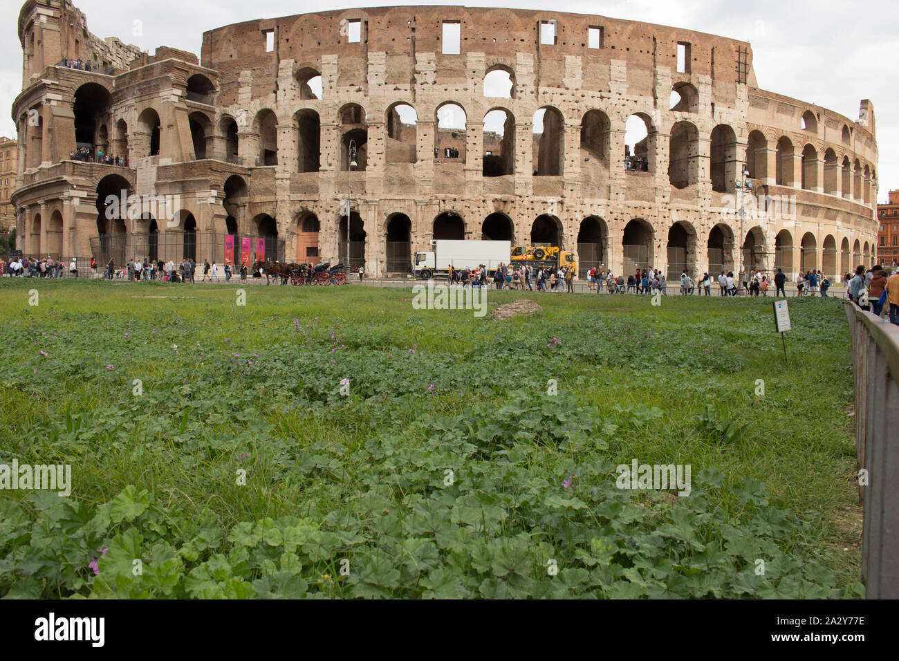 Coliseum, the great beauty of Rome Stock Photo - Alamy