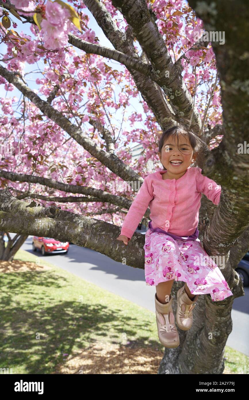 Small Girl in Pink in Cherry Tree Stock Photo - Alamy