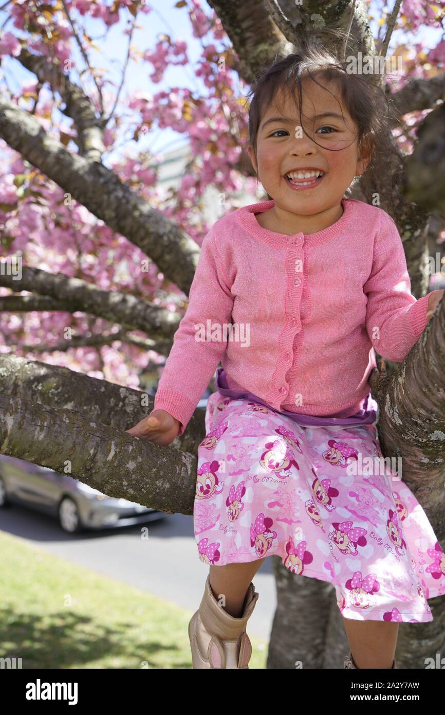 Small Girl in Pink in Cherry Tree Stock Photo - Alamy