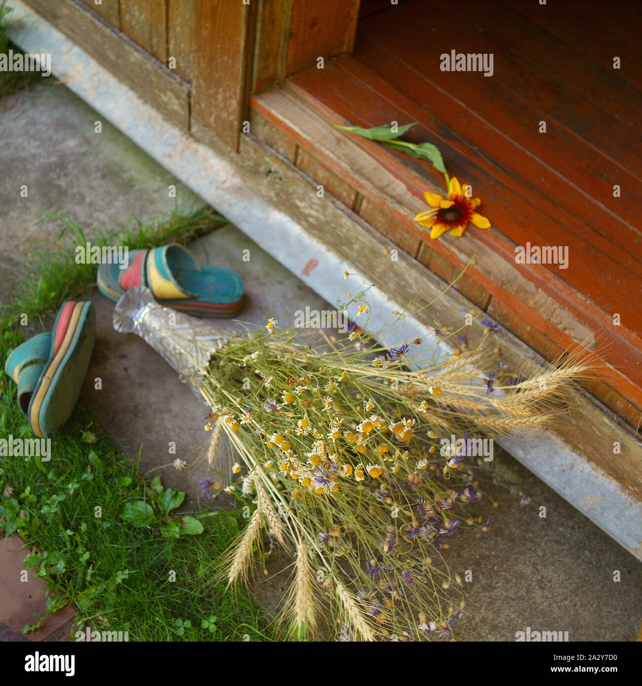 Mess outside a house entrance, turned over vase with flowers and ...
