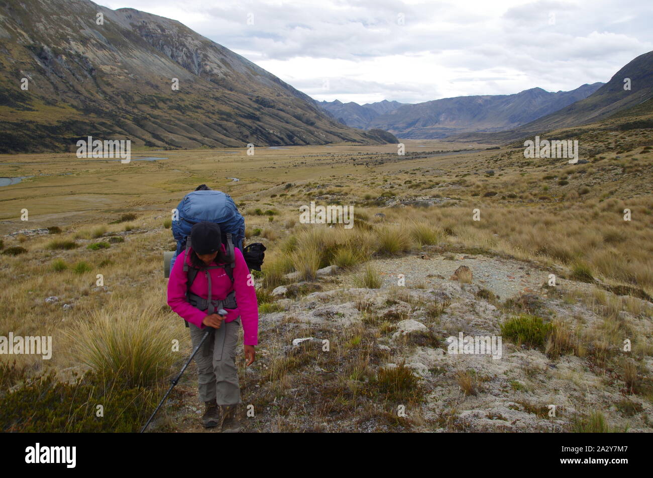 Thai female backpacker. Te Araroa Trail. Mavora Walkway. South Island ...