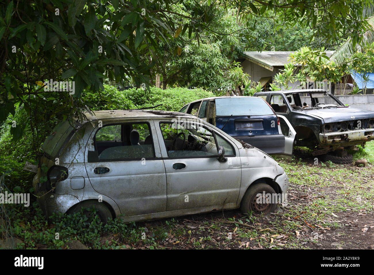 Moorea french polynesia mount tohiea hi-res stock photography and ...