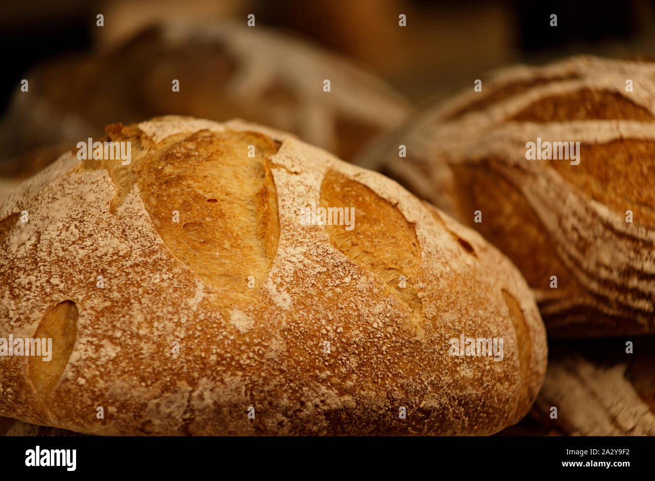 Fresh round rye bread with crispy crust. Rustic organic food. Close-up ...